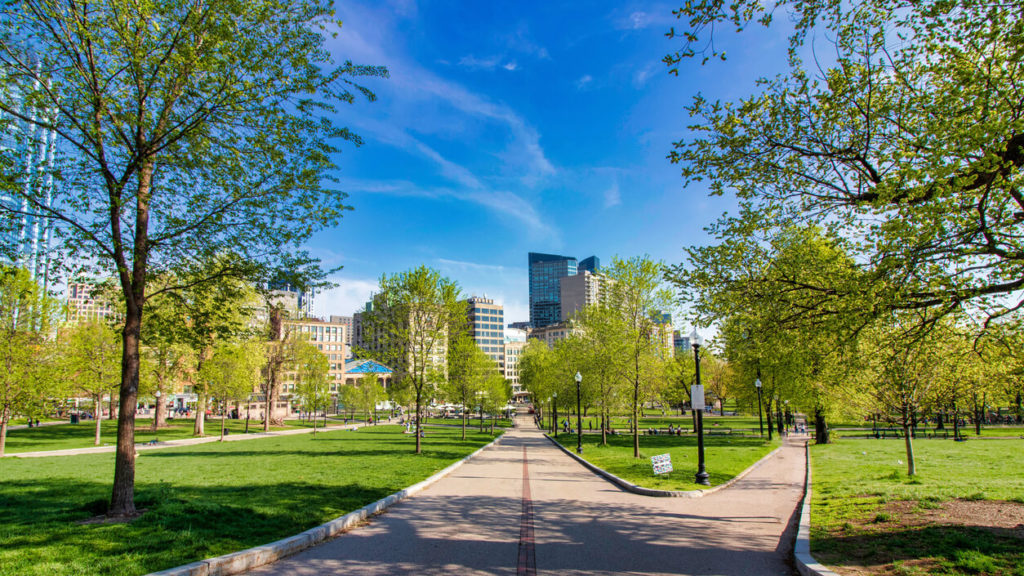 美國畢業求職新出路，餐飲業策略、品牌練功紀錄 | Emerson College SMC